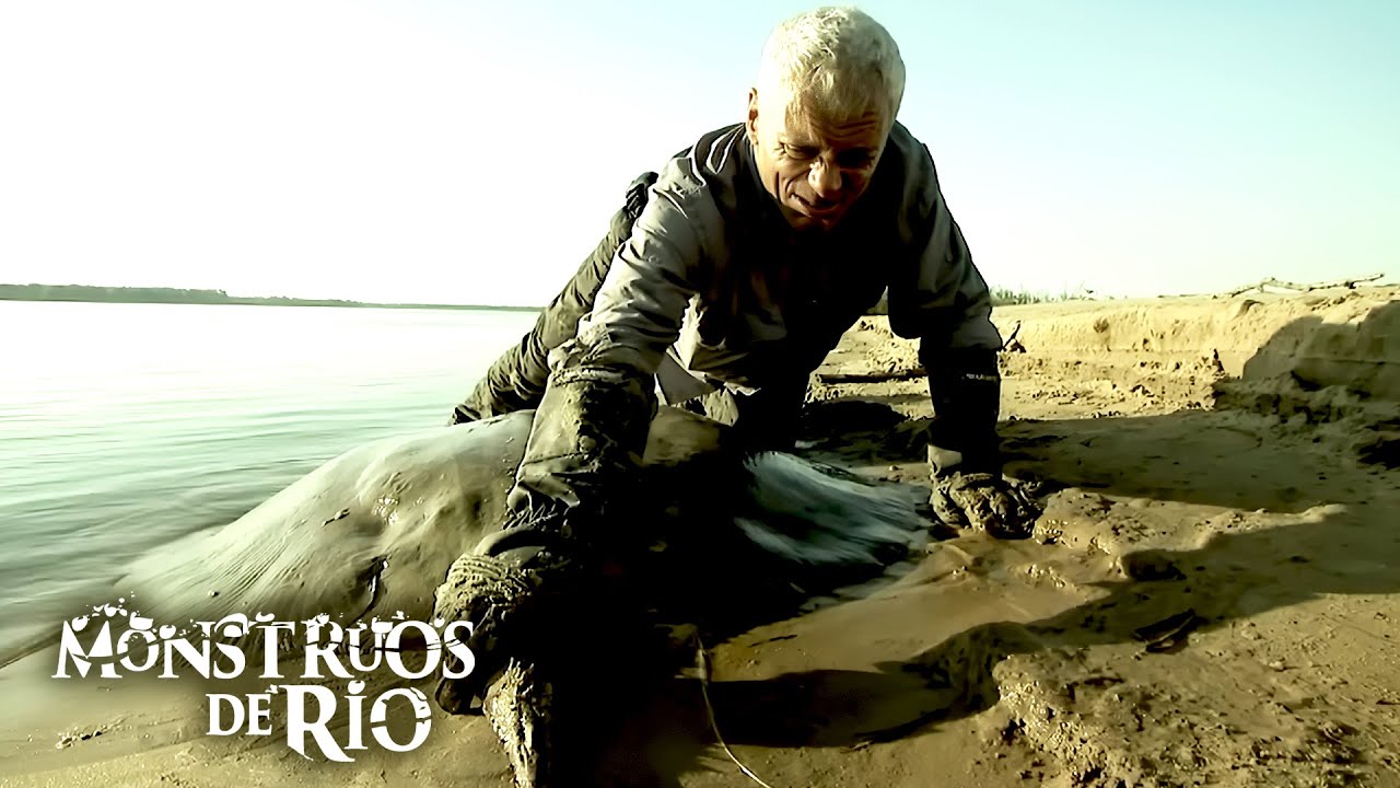 Pez Raya: La Sombra Silenciosa del Río | Monstruos de Río - YouTube