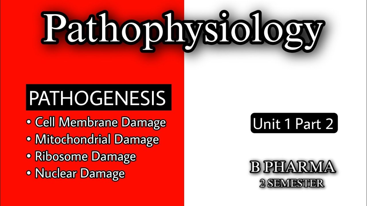 PATHOGENESIS OF CELL INJURY | REVERSIBLE & IRREVERSIBLE | CAUSE | UNIT ...