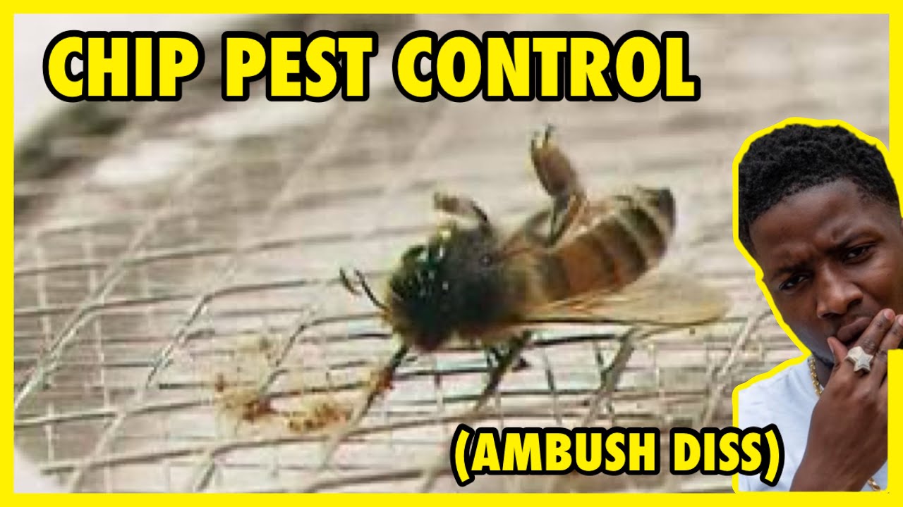 CHIP - PEST CONTROL (MID BOSS DISS) - YouTube