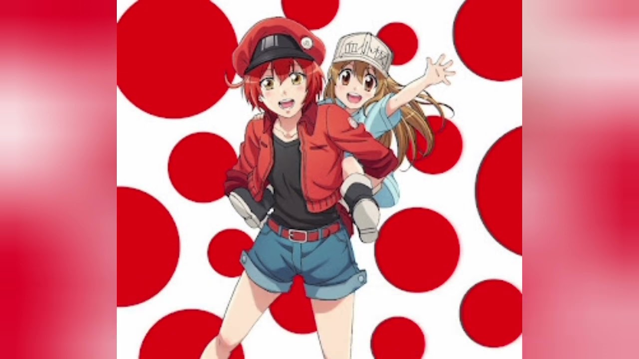 Ost. end Cells at Work ClariS - CheerS (cover Bahasa Indonesia) - YouTube