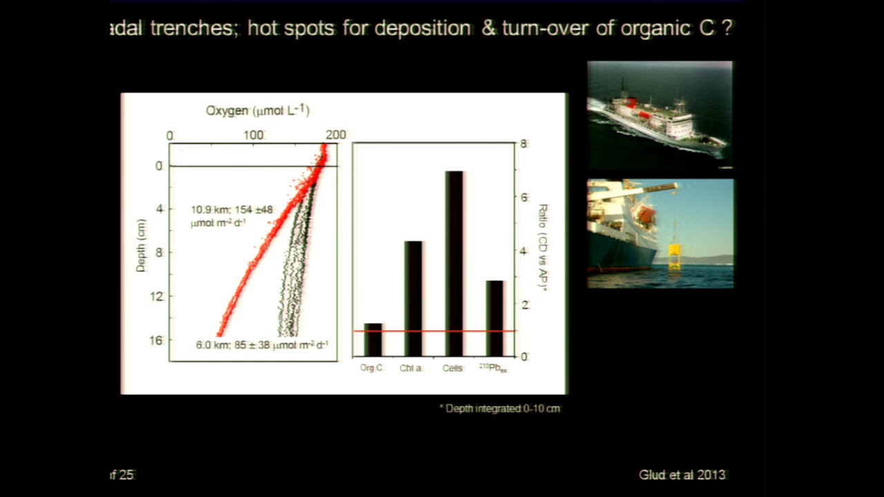 Hadal trenches hot spots for organic carbon cycling in the deep ocean ...