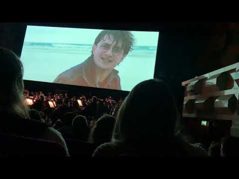 Harry Potter and the Deathly Hallows part 1 in concert - Farewell to Dobby