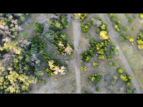 DJI 0088 - YouTube