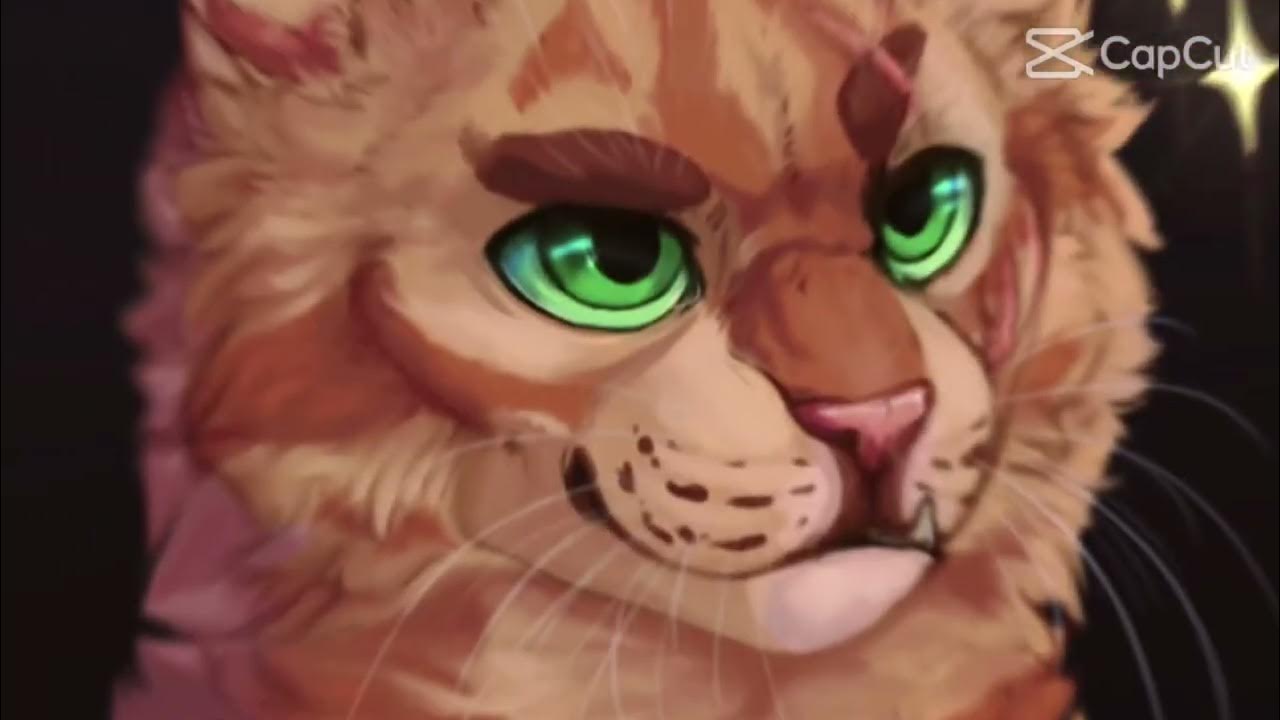 CrookedStar (Warrior Cat Edit) - YouTube
