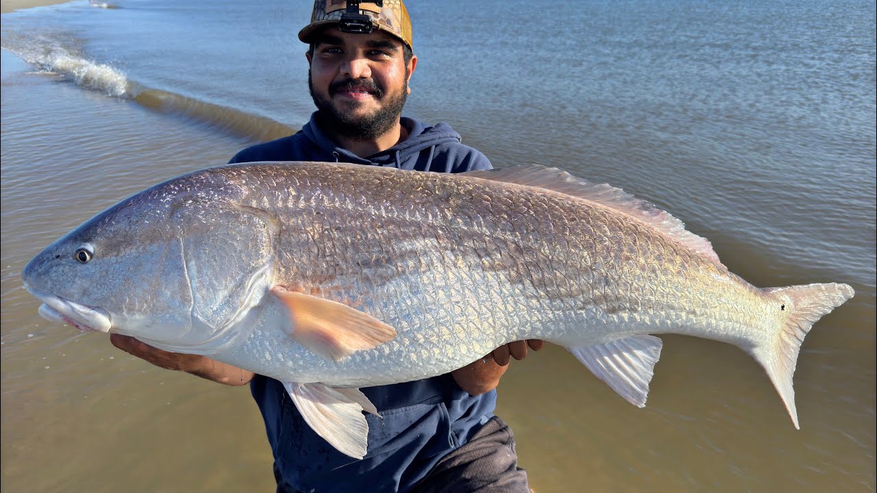How to catch a giant red drum ( PB red drum ) - YouTube