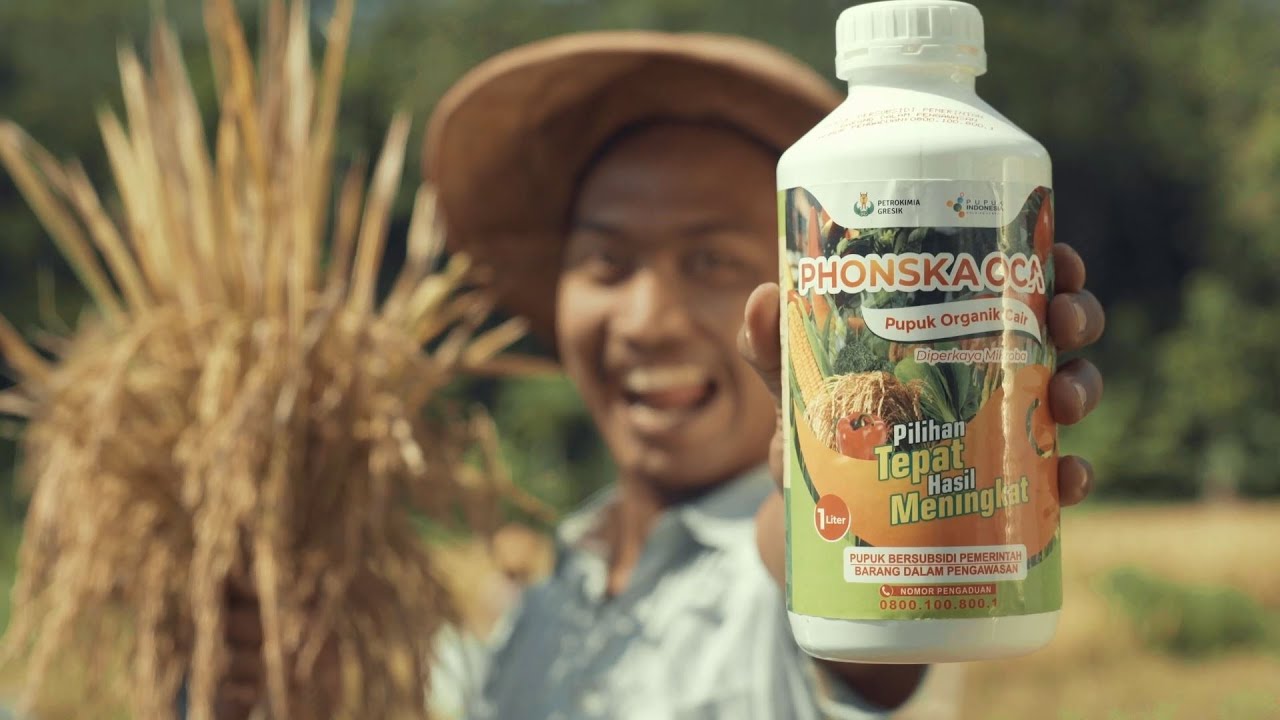 PhonsKa OCA - YouTube