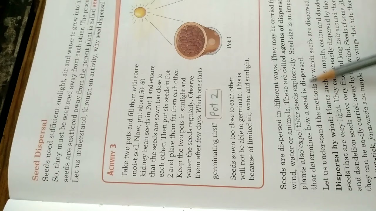 class 5th Science Lesson 1( More about plants) - YouTube