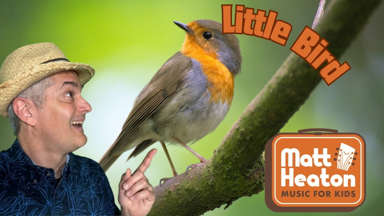 Little Bird | Sing Along Favorites | American Folk Song - YouTube