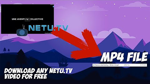 How to download netu.tv video - YouTube
