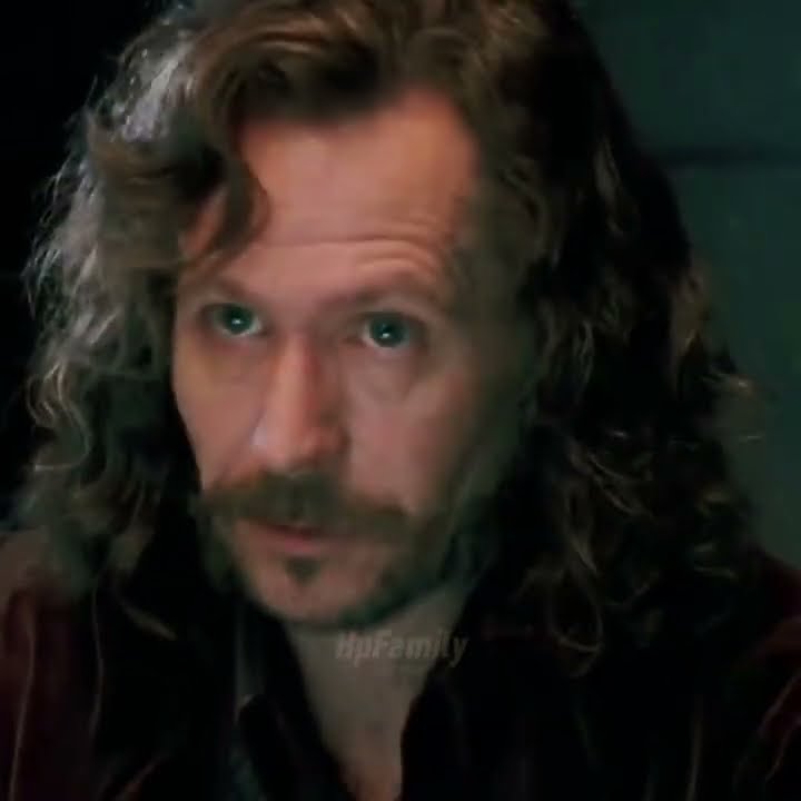 Sirius Black | ️😎 | Harry Potter Family | #harrypotter #siriusblack # ...