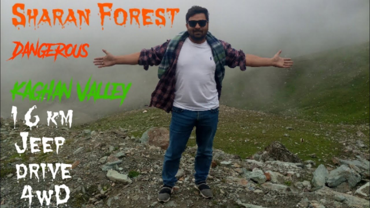 Sharan Forest kaghan Valley Natural forest in Pakistan - YouTube