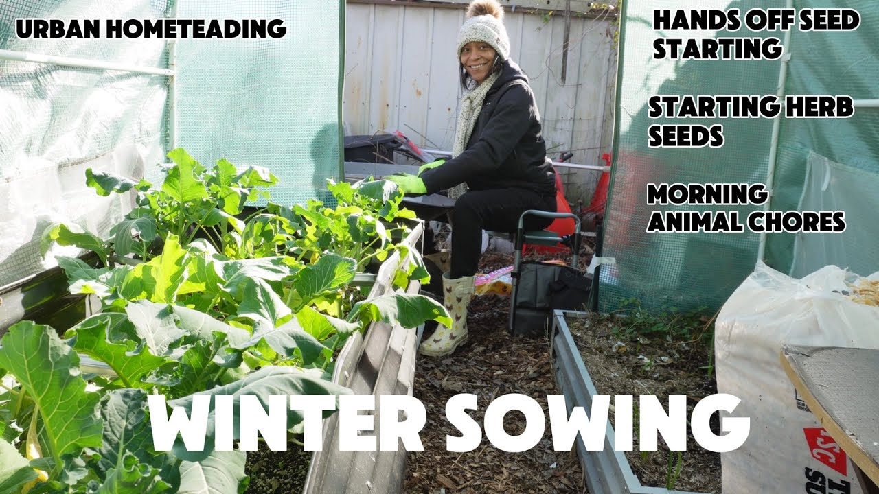 Spring Me Please (2025) - Ep. 3 | Sowing Seeds Using Winter Sowing ...