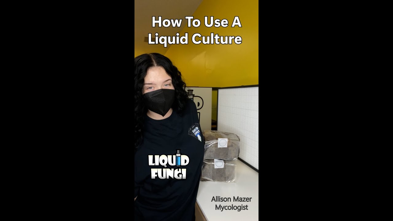 How to Inoculate Sterile Mushroom Substrate with a Liquid Culture - # ...