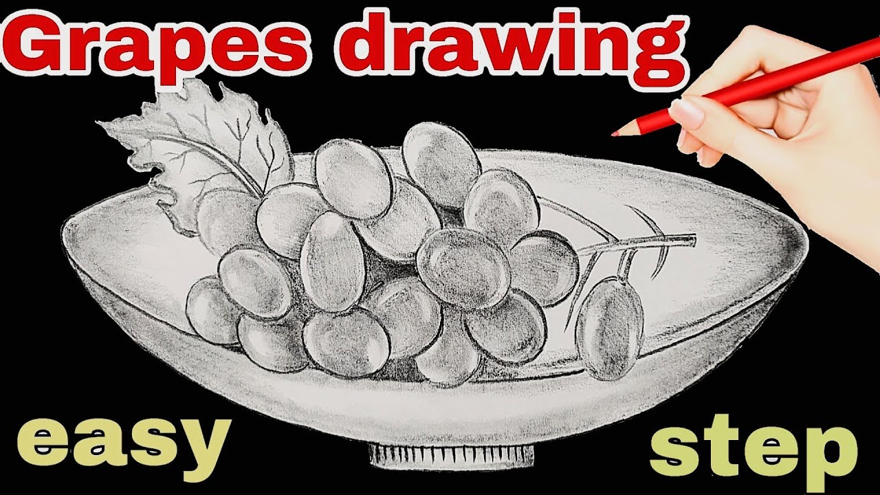Grapes drawing//How to draw grapes in plate//अंगूर का चित्र//grapes ...
