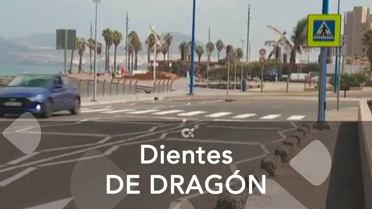 ¿Sabe lo que significan las señales de tráfico conocidas como diente de ...