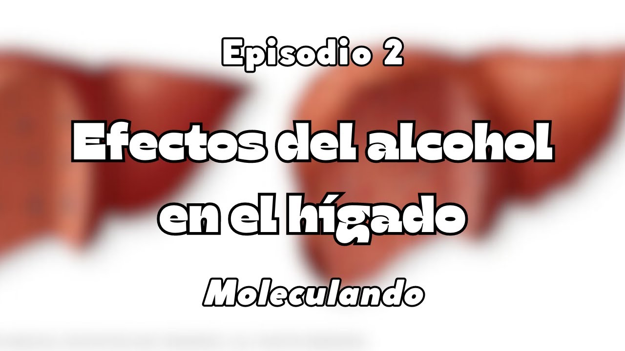 Efecto del Alcohol en el hígado || MOLECULANDO #2 - YouTube