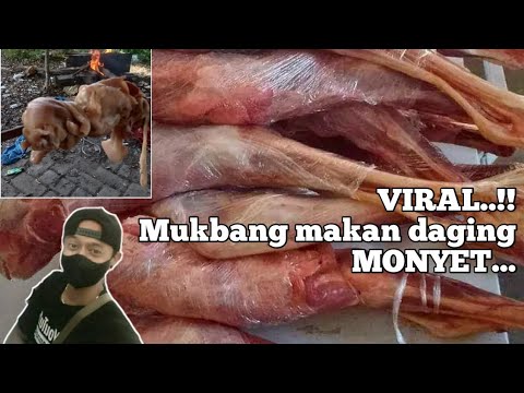 VIRAL..mukbang makan daging monyet. - YouTube