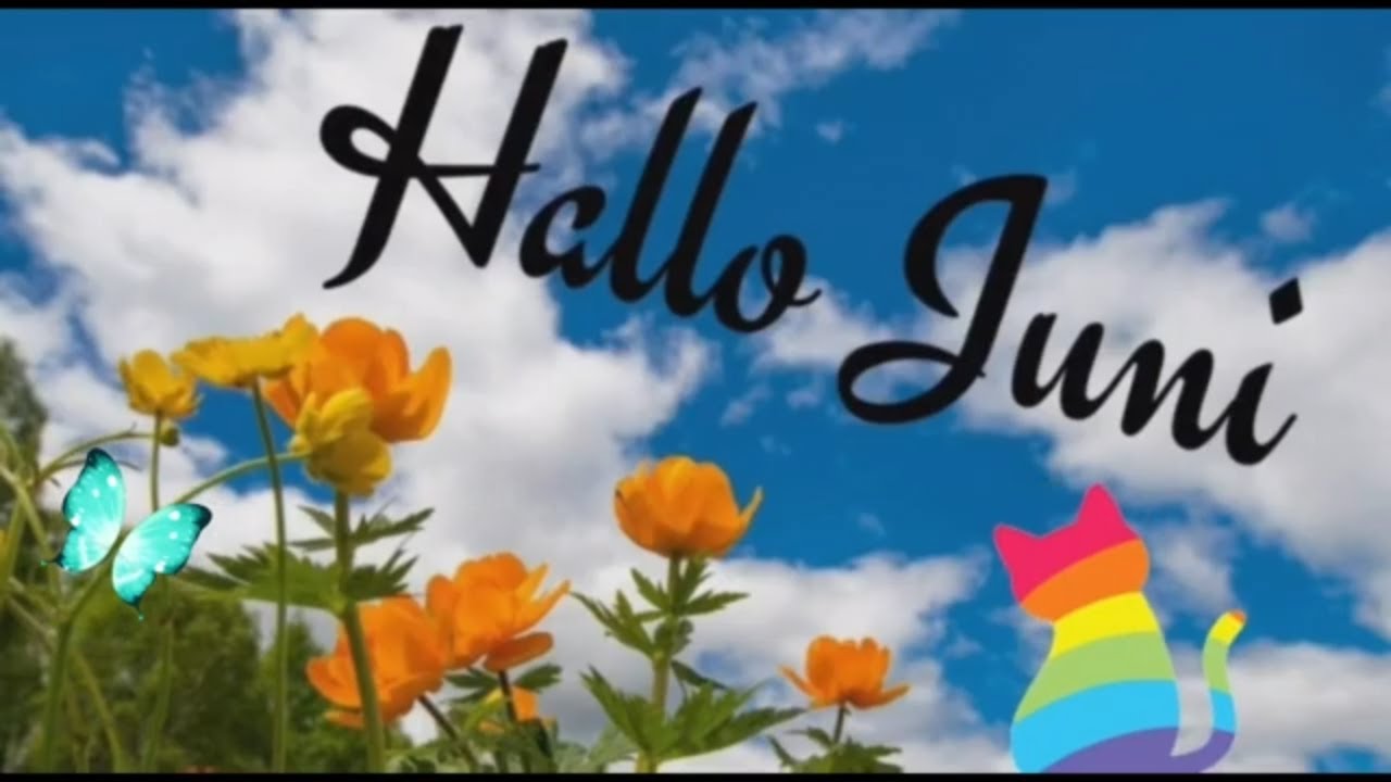 Hallo Juni🦋🌷Einen schönen Tag 🌞☕️ - YouTube