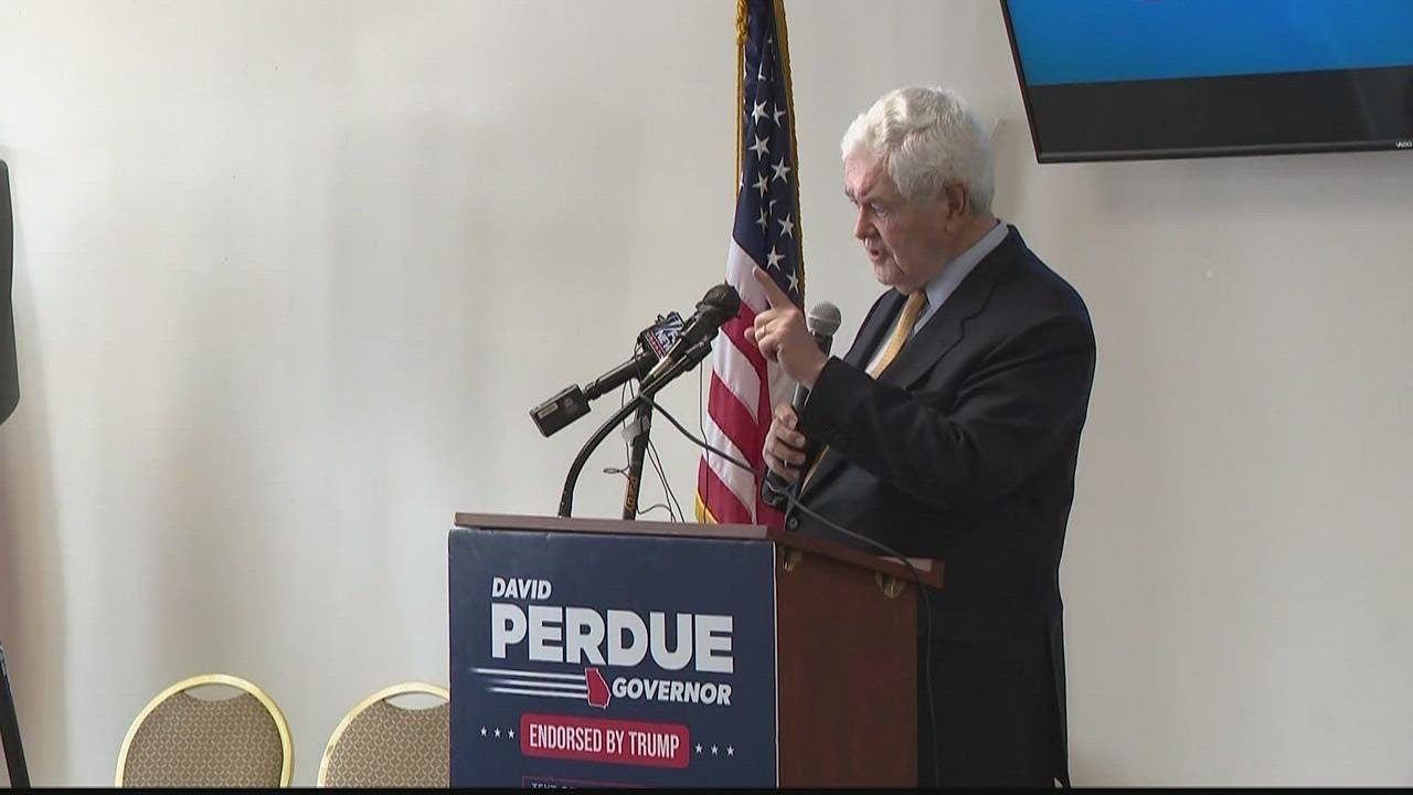 Newt Gingrich stumps for David Perdue in Georgia governor's race - YouTube