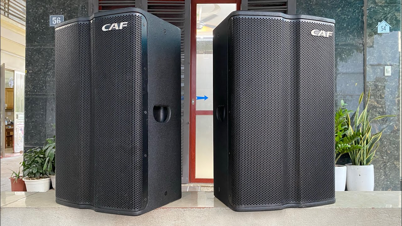 Lô Loa Full 30 bãi CAF W-12P-Cá Heo-[18+ EIGHTEEN SOUND - MADE IN ITALY ...