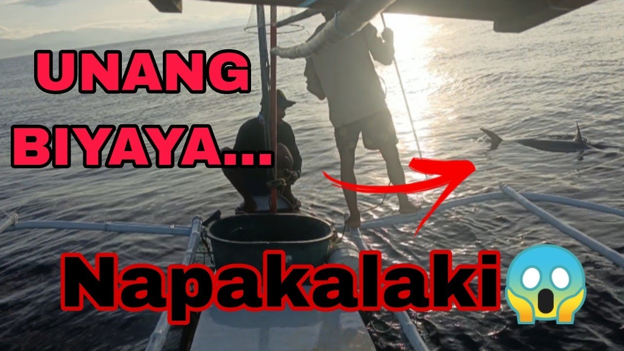 Pahirapan sa pagsampa sa napakalaking isda | Paghuhuli ng malaking isda ...