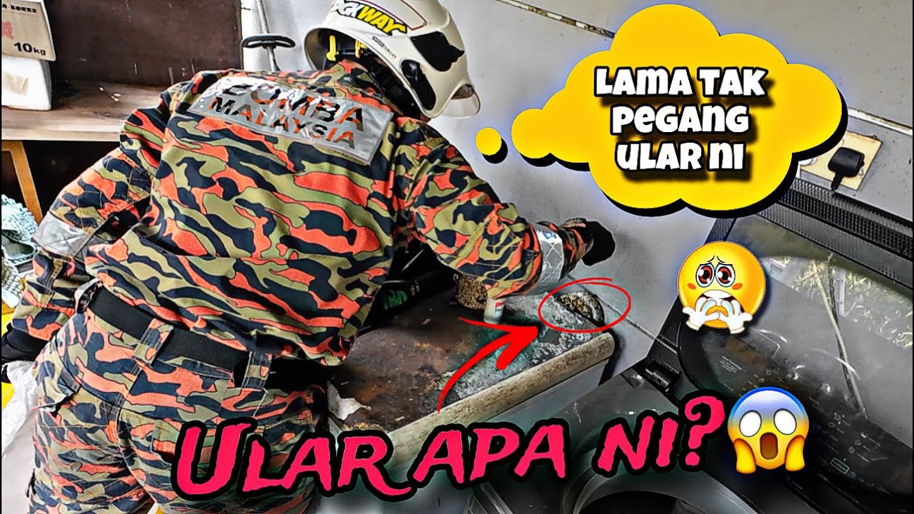 💢ABANG BOMBA GUNA TANGAN JE TANGKAP ULAR?😱CELORENG BOMBA - YouTube