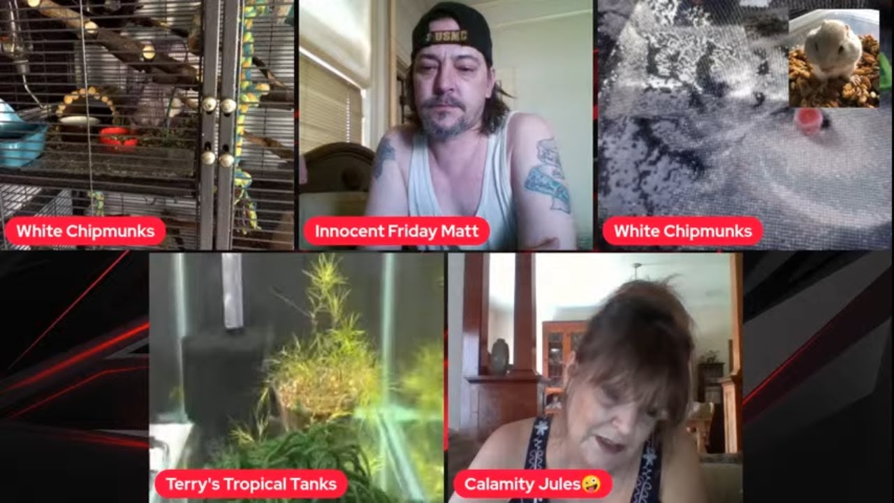 Freaky, Fart Friday with friends!! Chipmunks & Art! - YouTube