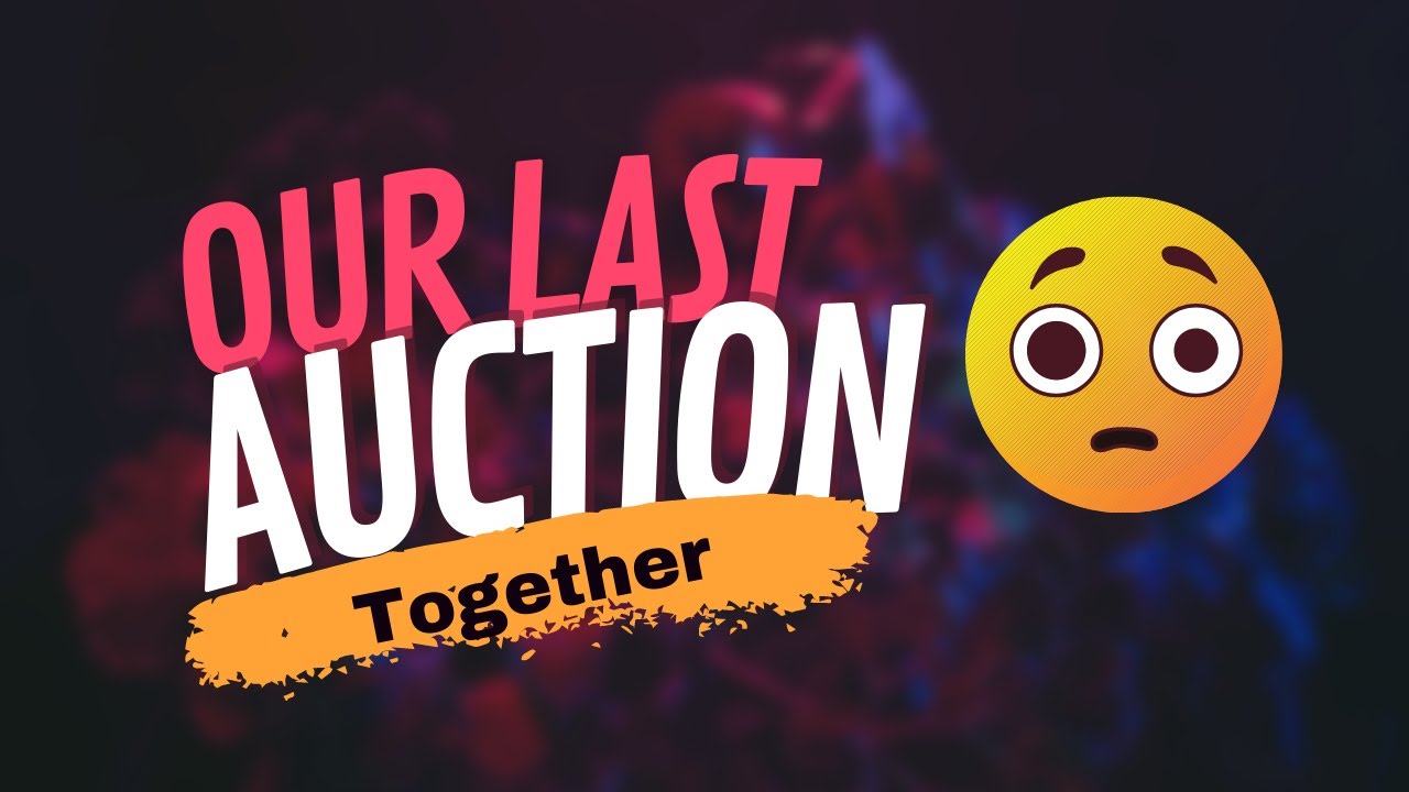 Our Last Auction - YouTube