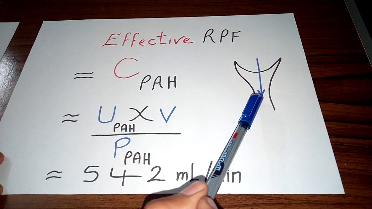 Filtration Fraction Calculation at Nancy Snow blog Filtration Fraction Calculation at Nancy Snow blog