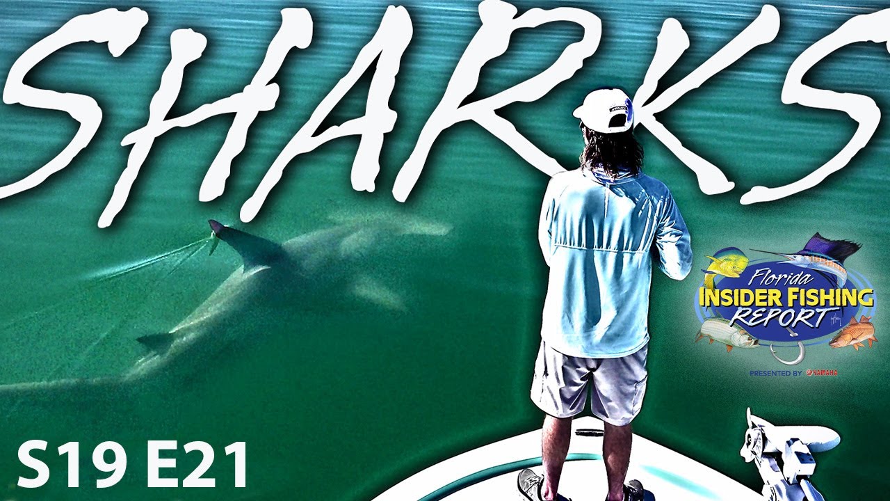 Watch Episodes - Florida Insider Fishing Report