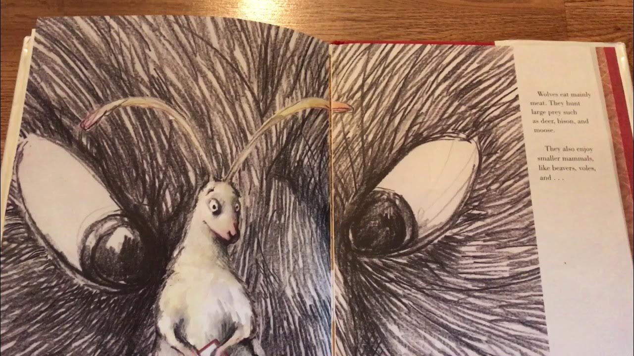 Wolves by Emily Gravett - YouTube