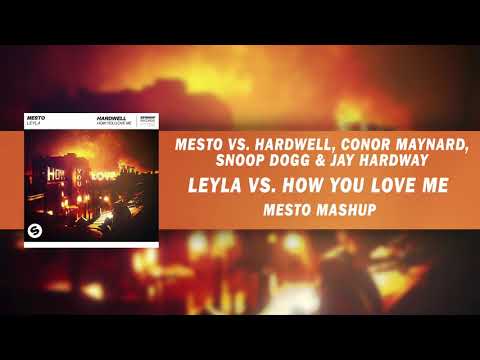 Leyla vs. How You Love Me (Mesto Mashup)