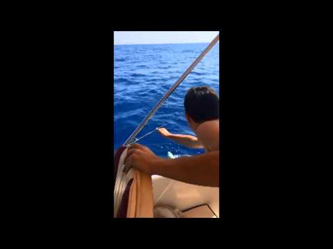 Akdeniz Böyle Balık Görmedi ! İzlemeden Geçme..Lambukalar
