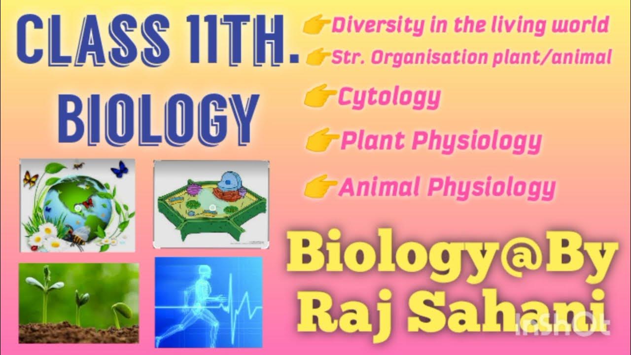 Class 11th Biology Content YouTube class-11th-biology-content-youtube
