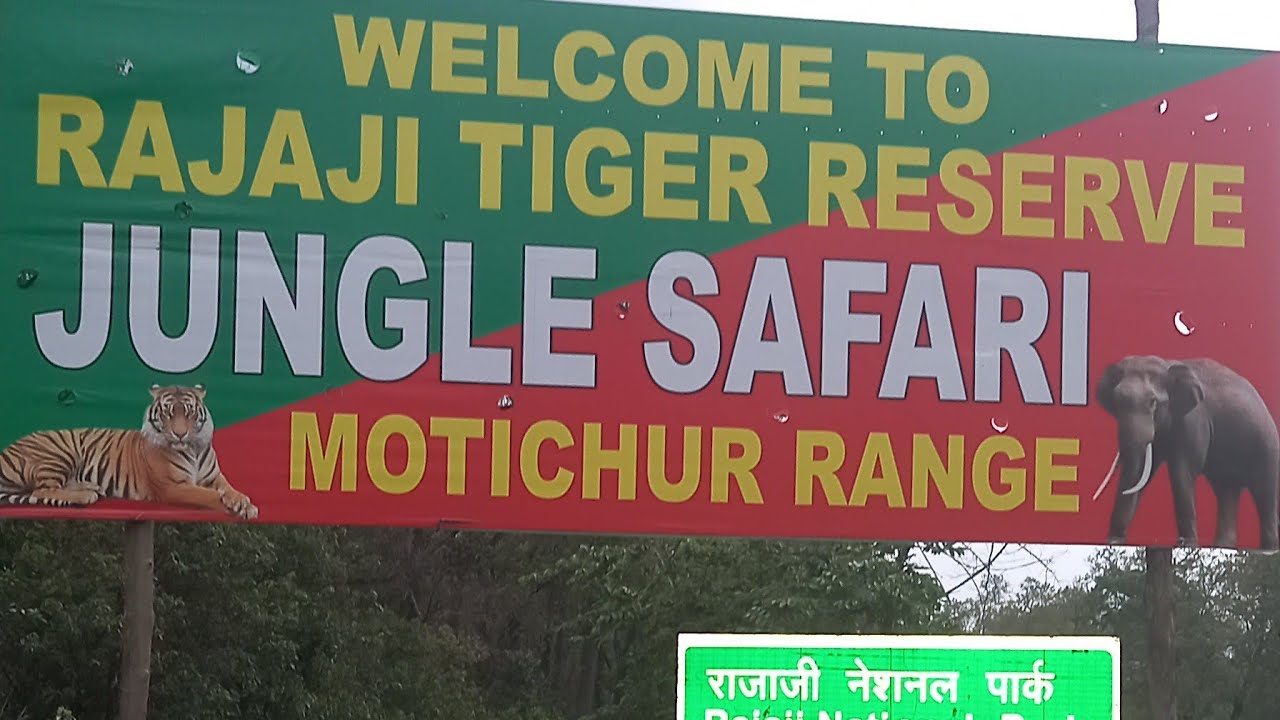 RAJAJI TIGER RESERVE JUNGLE SAFARI MOTICHUR RANGE - YouTube