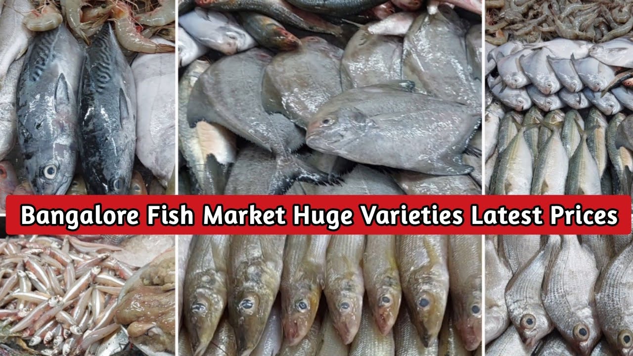 Bangalore Fish Market Latest Fish Prices VARIETIES OF FISHES ...