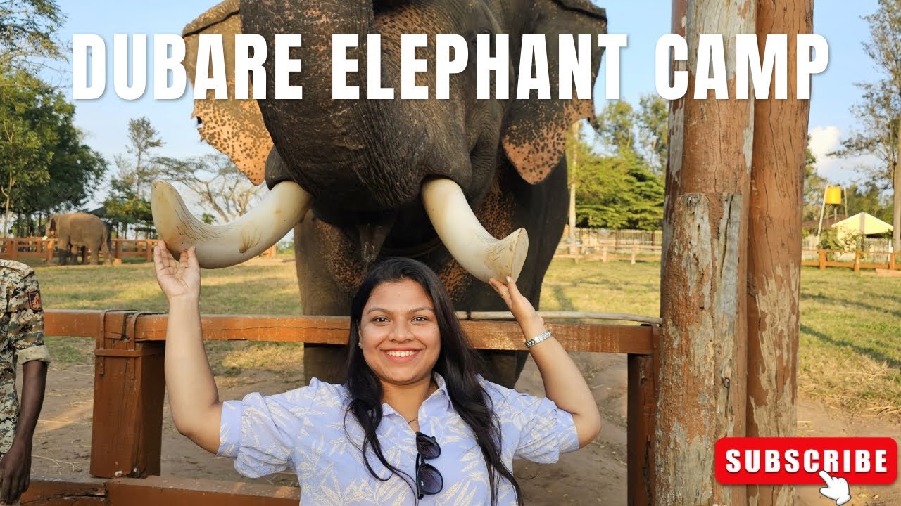 Dubare Elephant Camp | Up Close with Majestic Elephants in Coorg 🐘🌿 ...