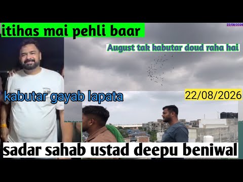 Itihas mai pehli baar august tak kabutar doud raha hai sadar sahab ustad deepu beniwal 22/08/2026
