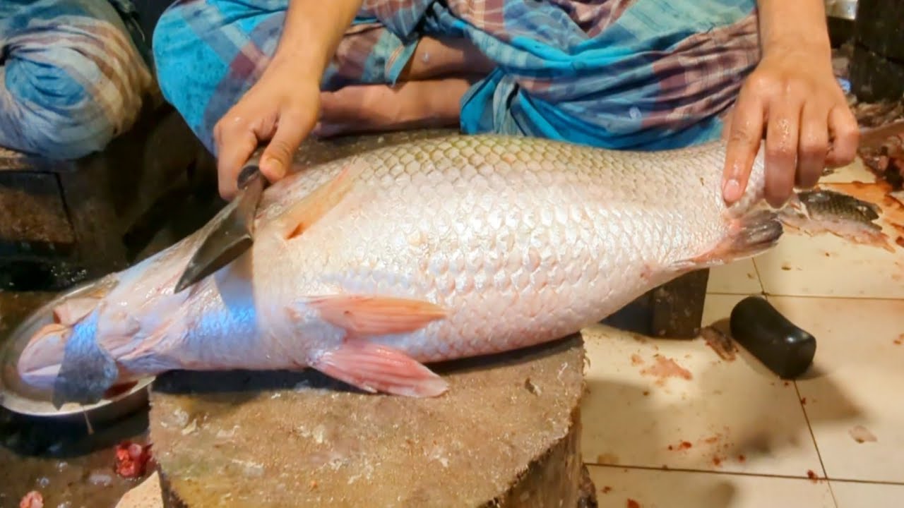 Amazing Huge Bhetki Fish Cutting Skills In Bangladesh Fish Market ...