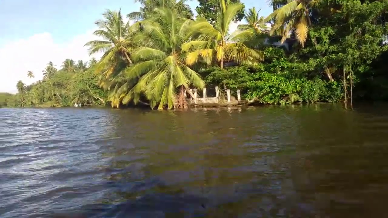 Sri Lanka,ශ්‍රී ලංකා,Ceylon,Nilwala River,Matara,Boat Trip - YouTube