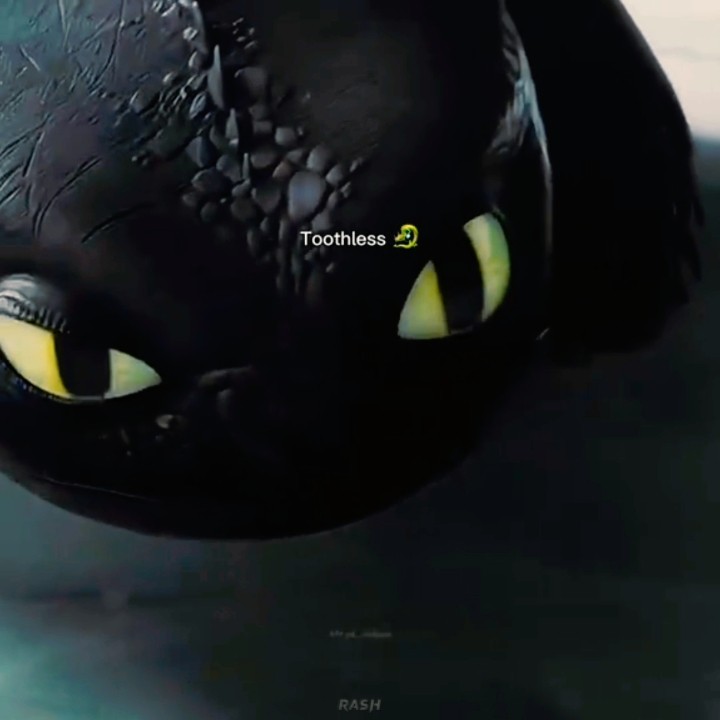 Real life toothless 💀🔥 #toothless #r1 #bmw #bike #bikelover #yamaha # ...