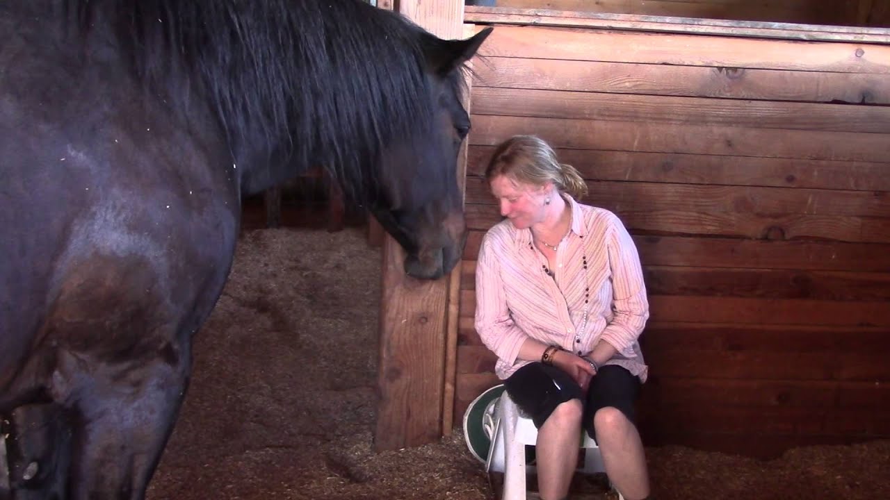 Horses Connect and Heal People at an Equinisity Retreat - YouTube