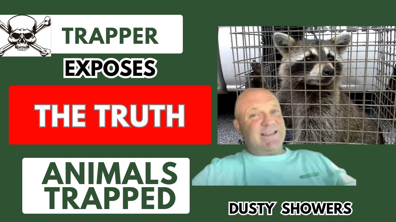 Unveiling the Dark Side of Animal Trapping: A Wildlife Trapper ...