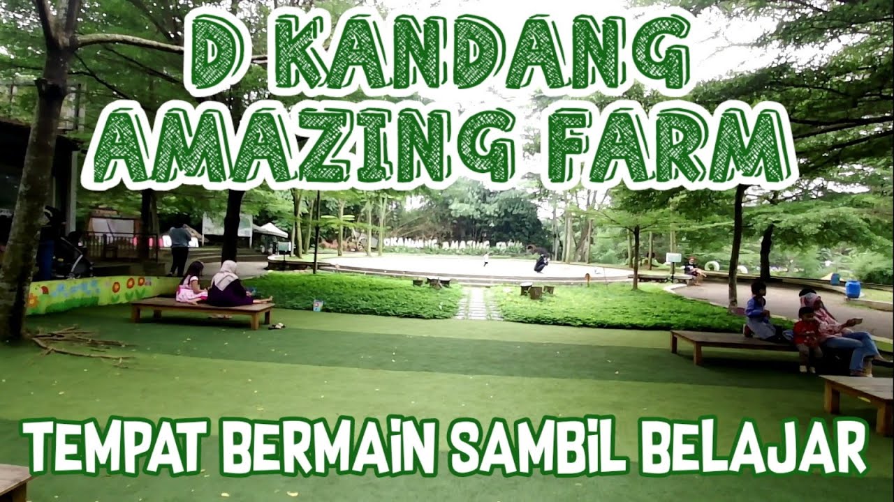 D'Kandang Amazing Farm Depok - YouTube