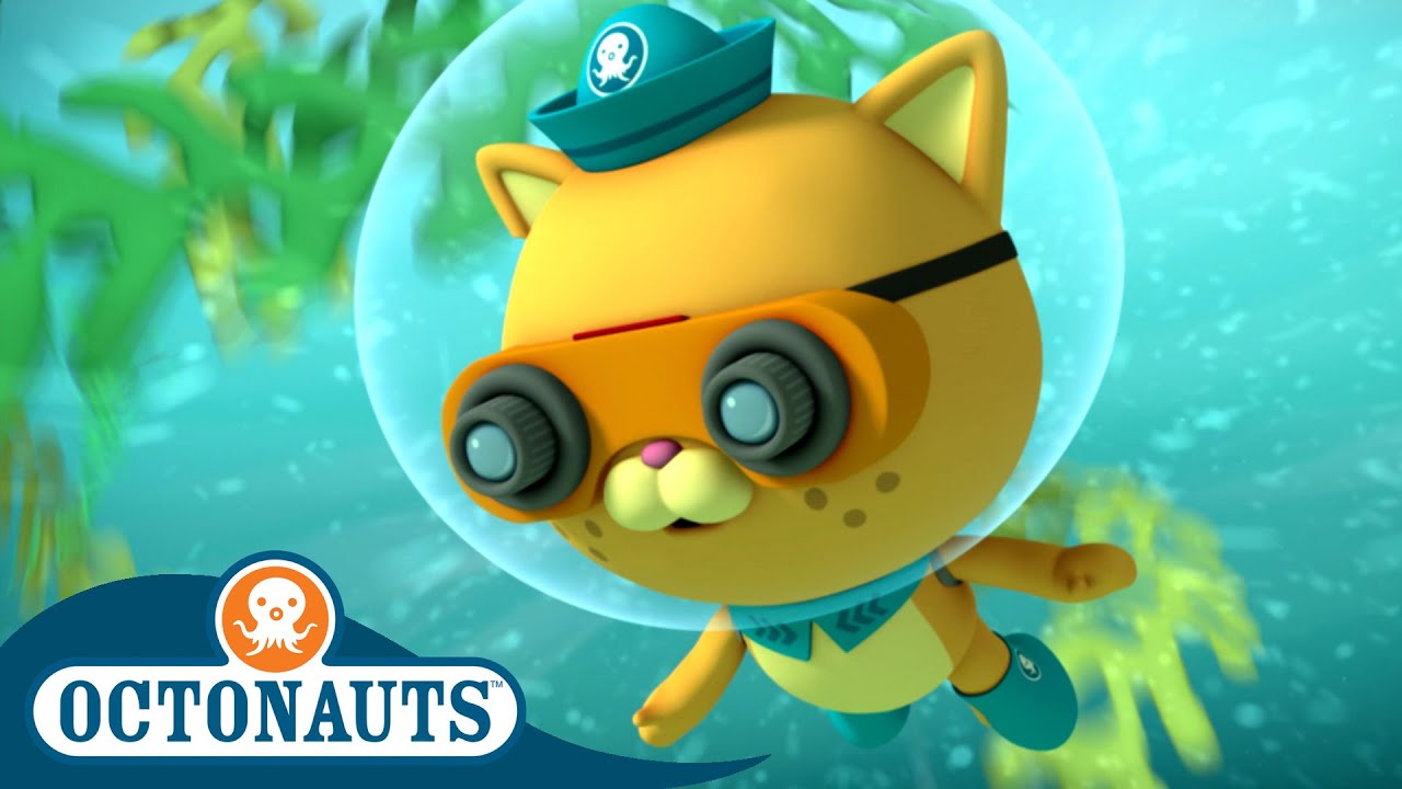 Octonauts - Stormy Seas: Part 1 | Cartoons for Kids | Underwater Sea ...
