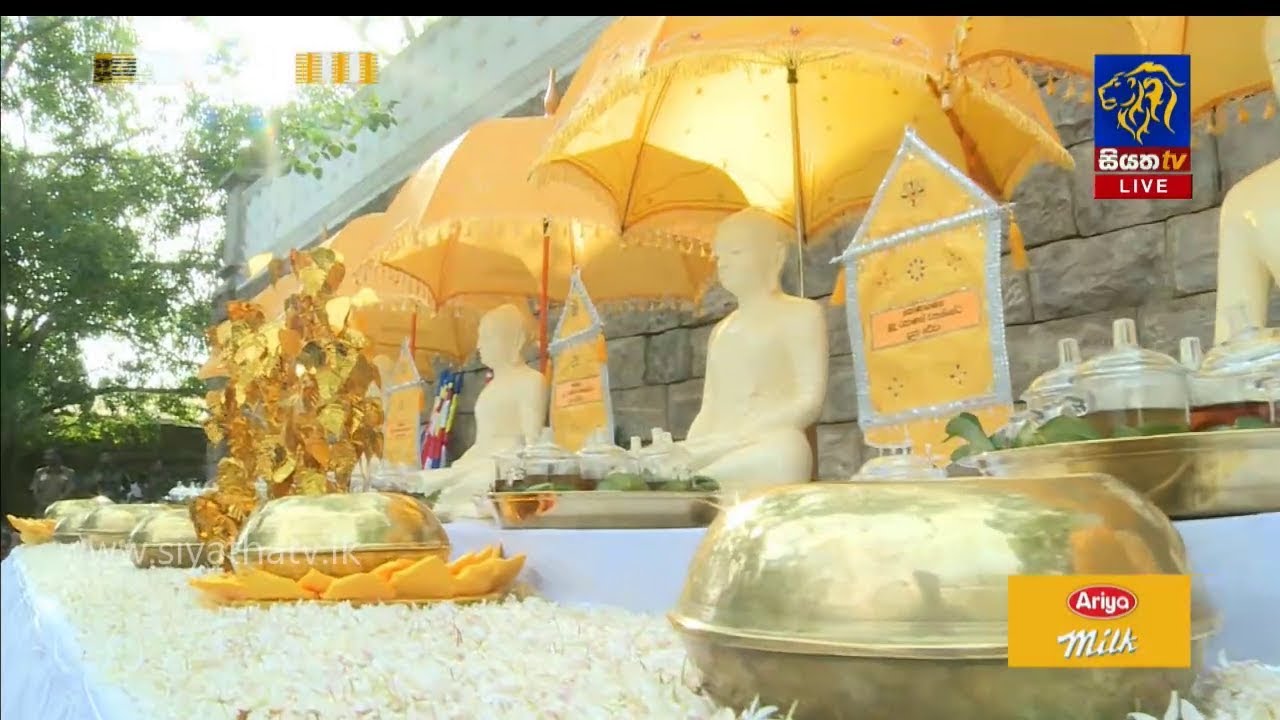 අනුරාදපුර ශ්‍රි මහ බෝධිය අබියස | Pichcha Mal Poojawa | පිච්ච මල් පූජාව ...