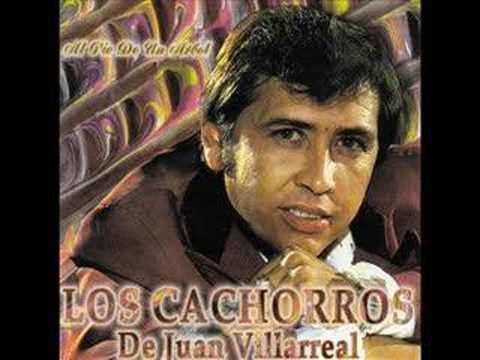 "Generoso Garza Cano"Los Cachorros De Juan Villareal - YouTube