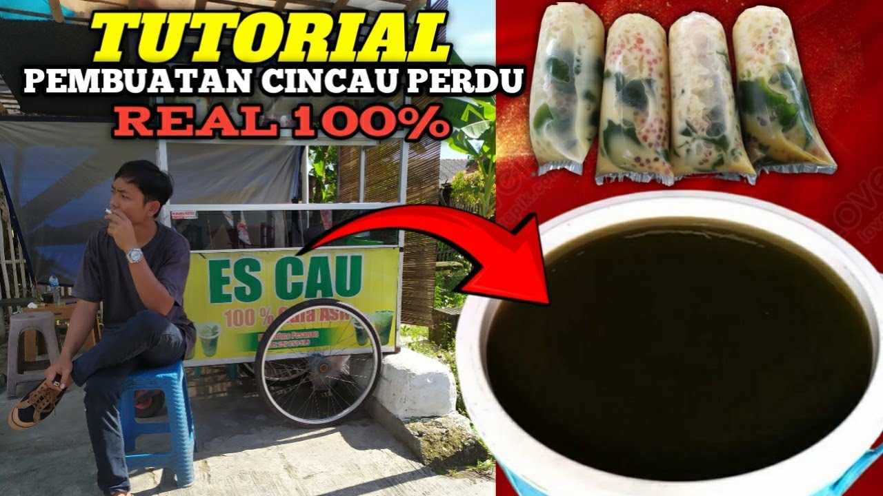 Tutorial Pembuatan Cincau Perdu Daun Lebar(Cincau Kebo) #cincauperdu# ...