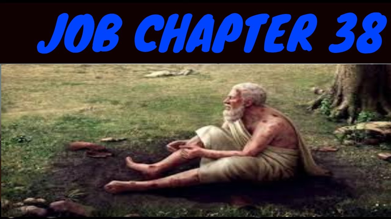 Holy Bible Reading - Book of Job - Chapter 38 - YouTube