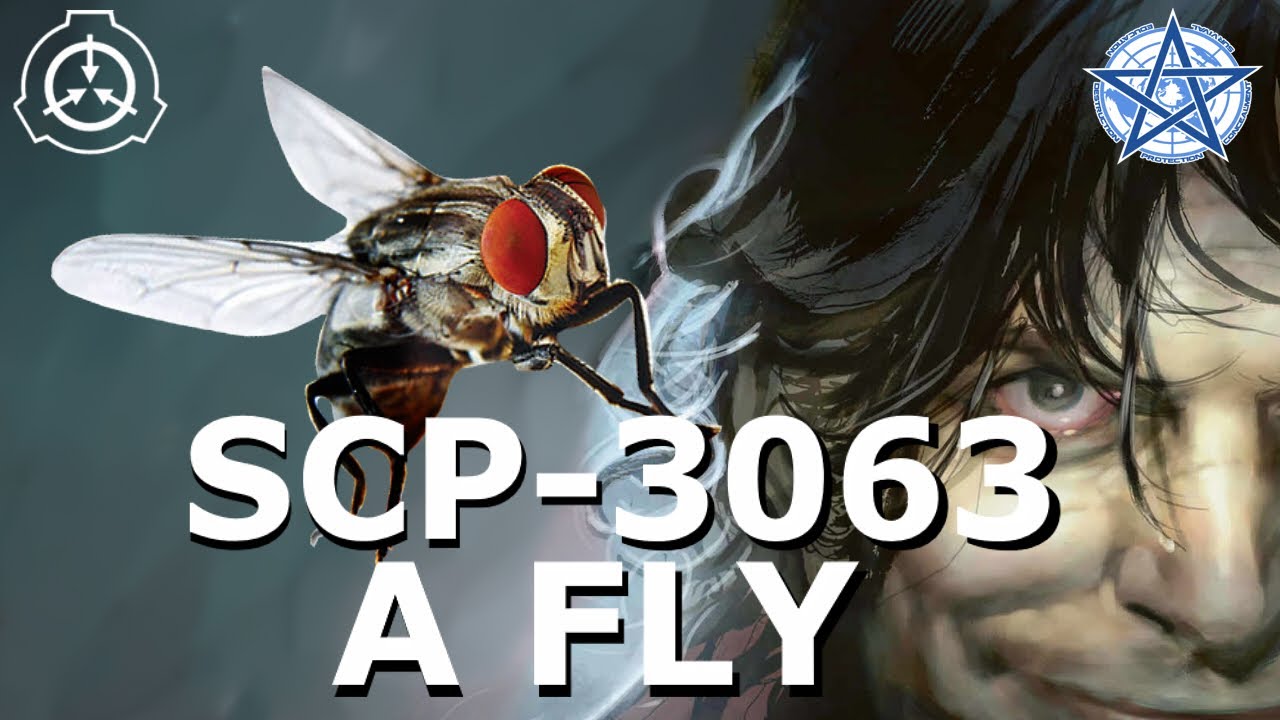 SCP-3063| A Fly - YouTube